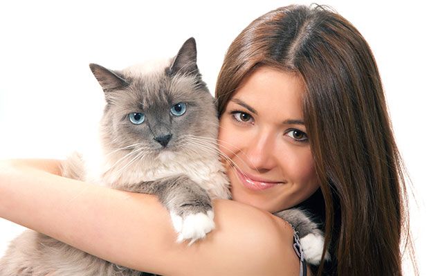 Understanding Feline Affection: Do Cats Truly Love Their Owners?