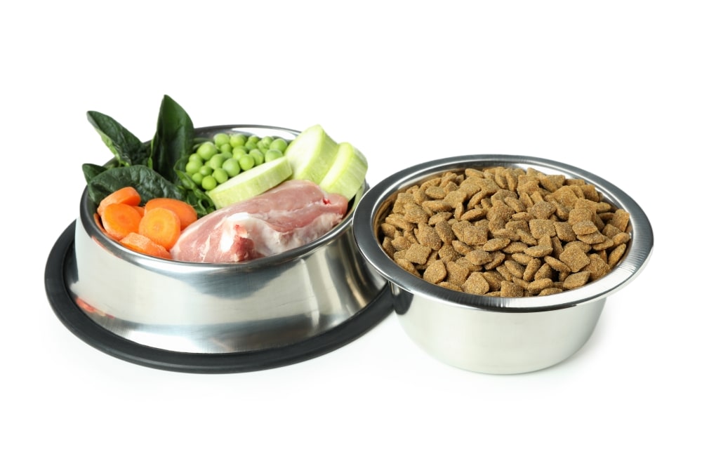 Diabetic Dog Food: The Best Nutrition Plan for Your Diabetic Canine