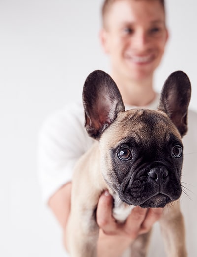 Dog Bios for Pet Profiles - Creative Examples and Tips